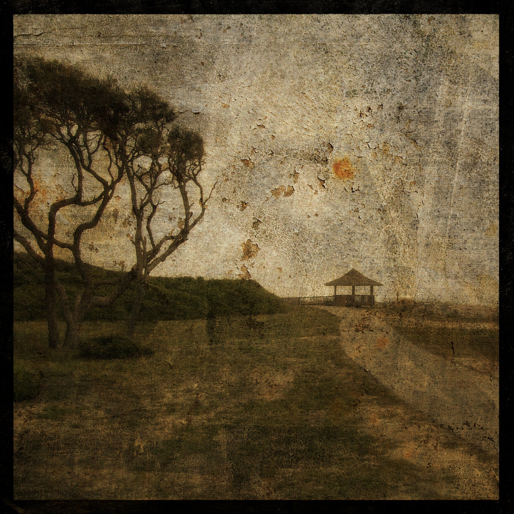 Sand Swept No. 4 Photograph – thegoldengallerync