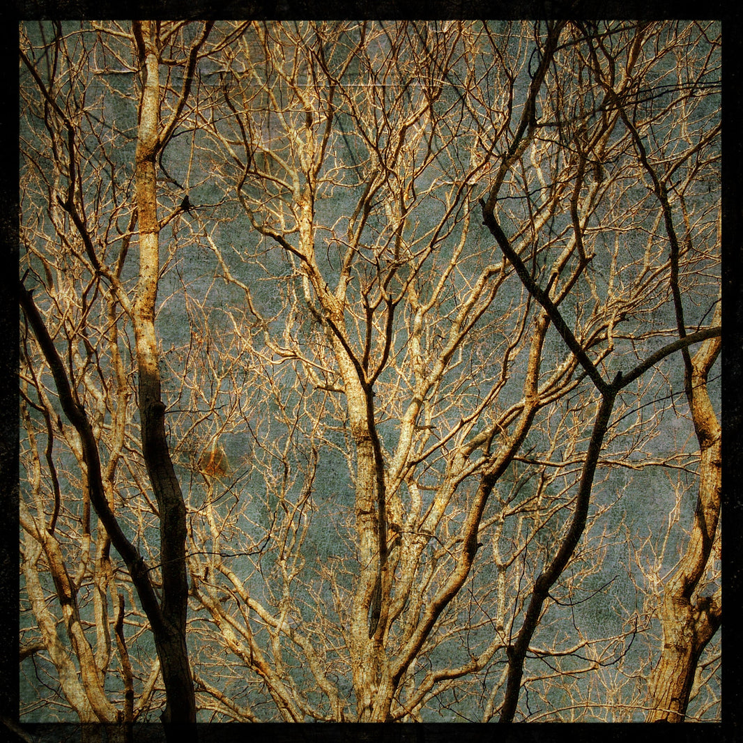 John W. Golden Rovinato Photography – thegoldengallerync